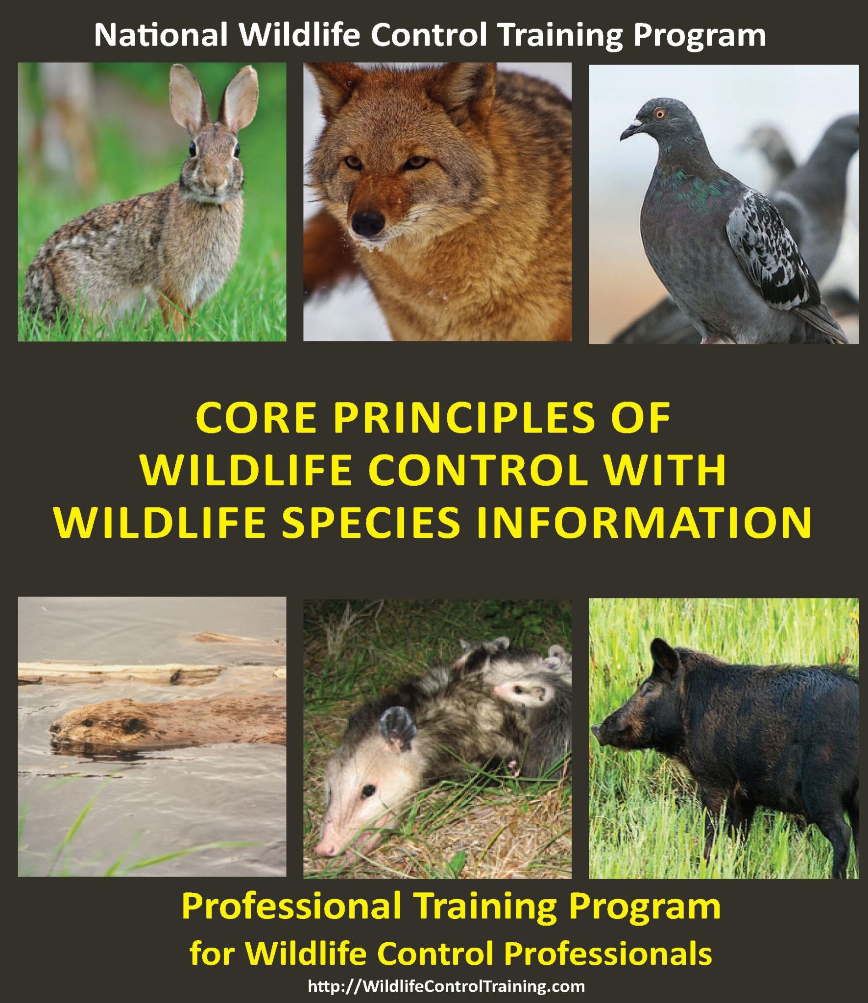 Training Information for Wildlife Control Operators | Research based ...